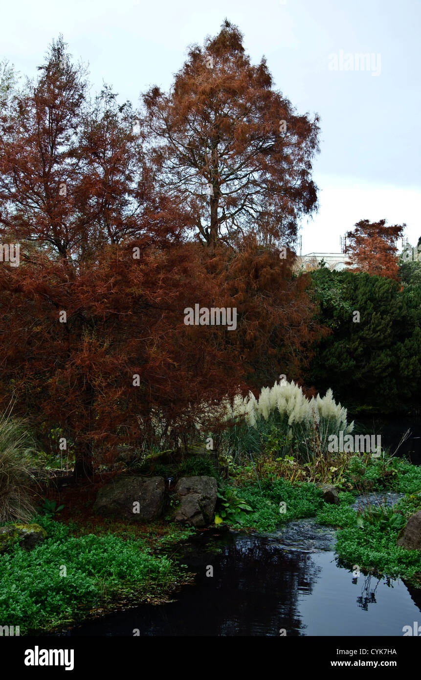 Garden feature edinburgh hi-res stock photography and images - Alamy