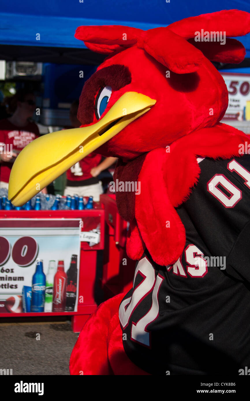 College Football Pep Rally Stock Photo - Alamy