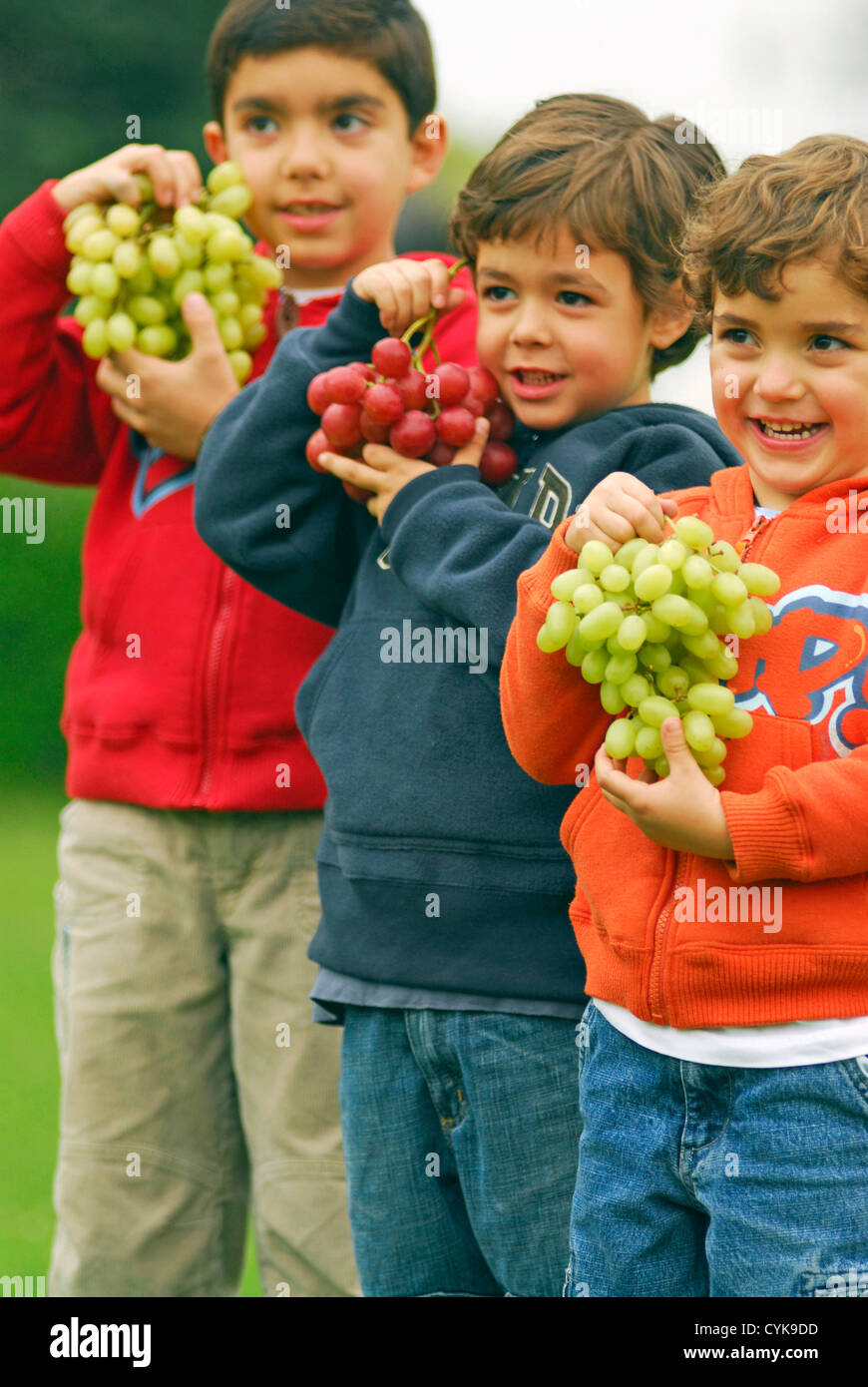South America, Chile, Santiago de Chile, young smiling blond children ...