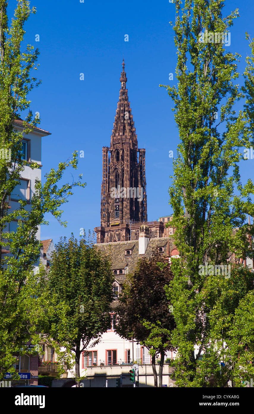 Ancient houses and Notre-Dame gothic cathedral 14th century, Strasbourg ...