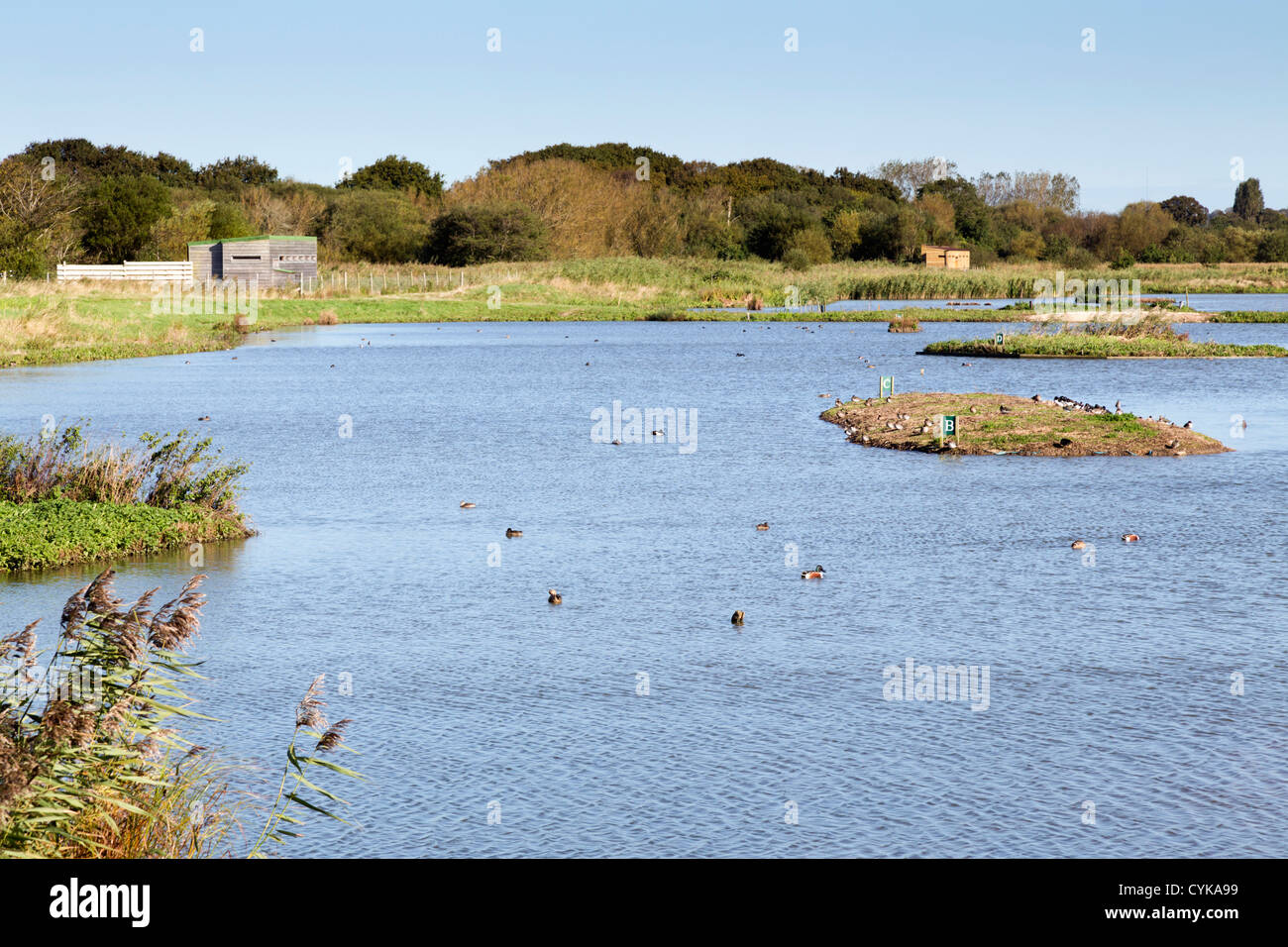 Titchfield Haven; National Nature Reserve; Hampshire; UK; lake and hide ...