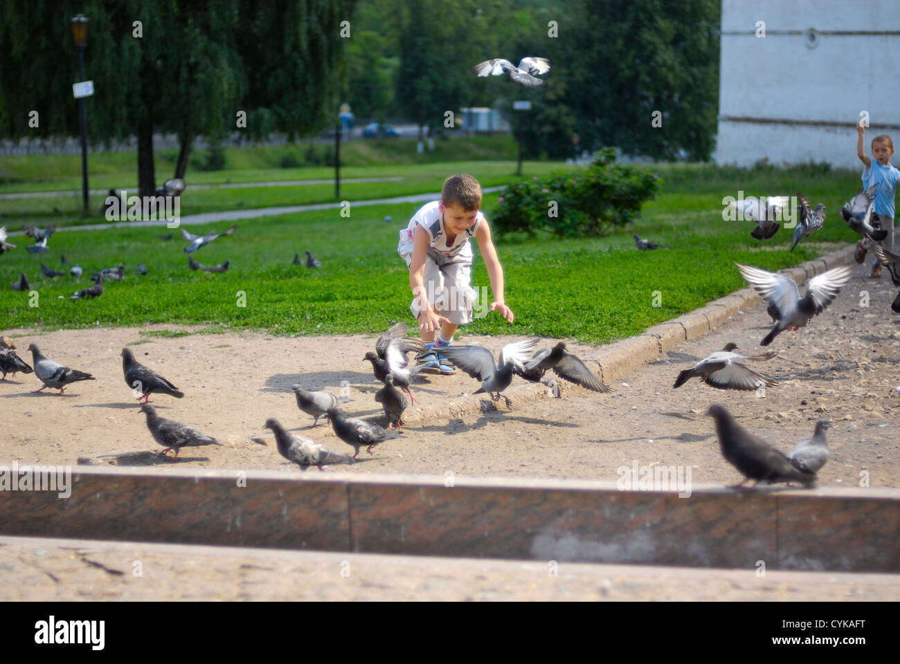 kids playing pigeons bird lots Stock Photo - Alamy