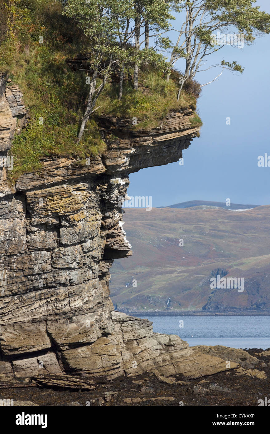 Human face profile in the rock cliff with overhanging trees Stock Photo ...
