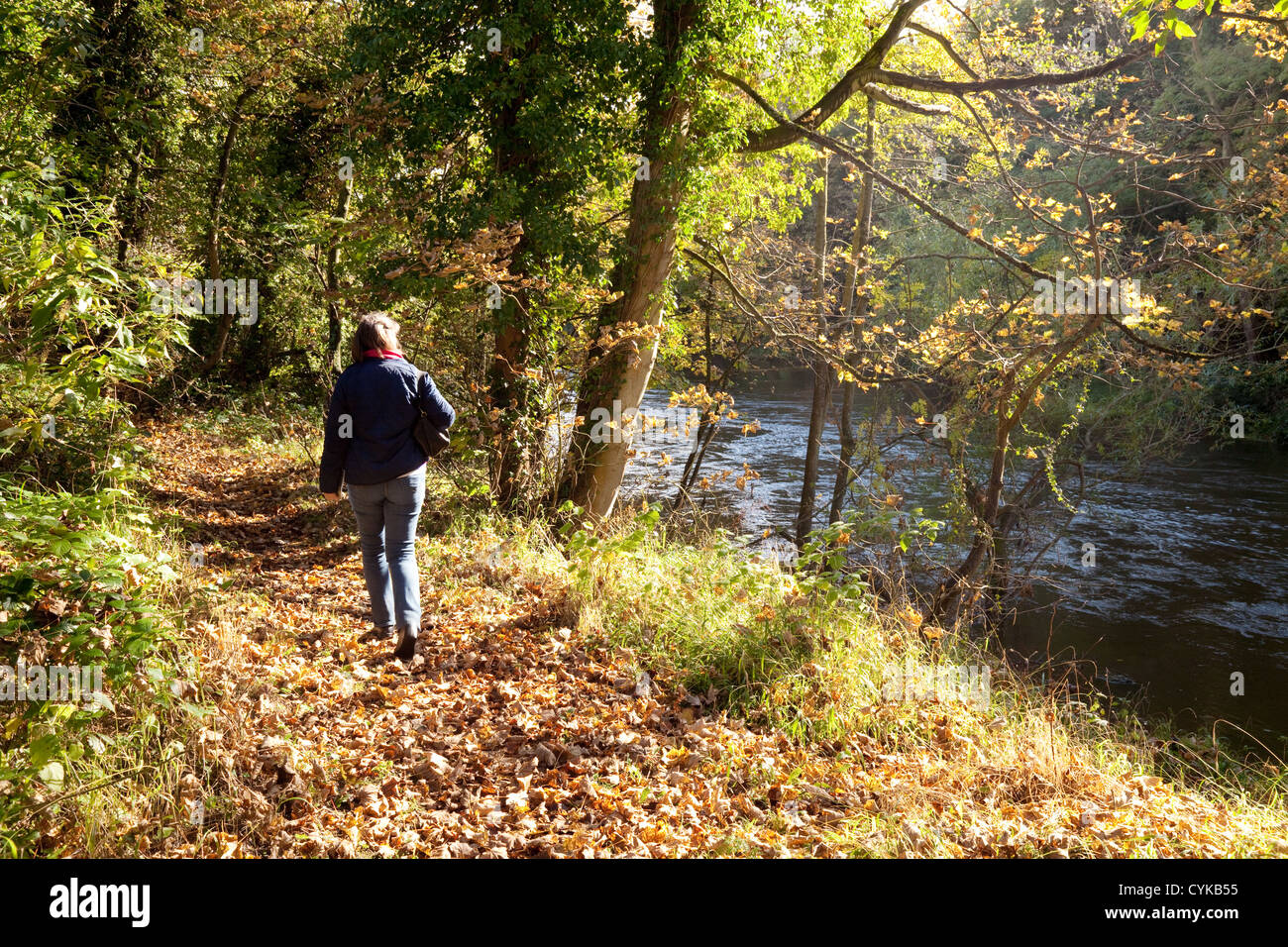 Footpath along the river severn hi-res stock photography and images - Alamy