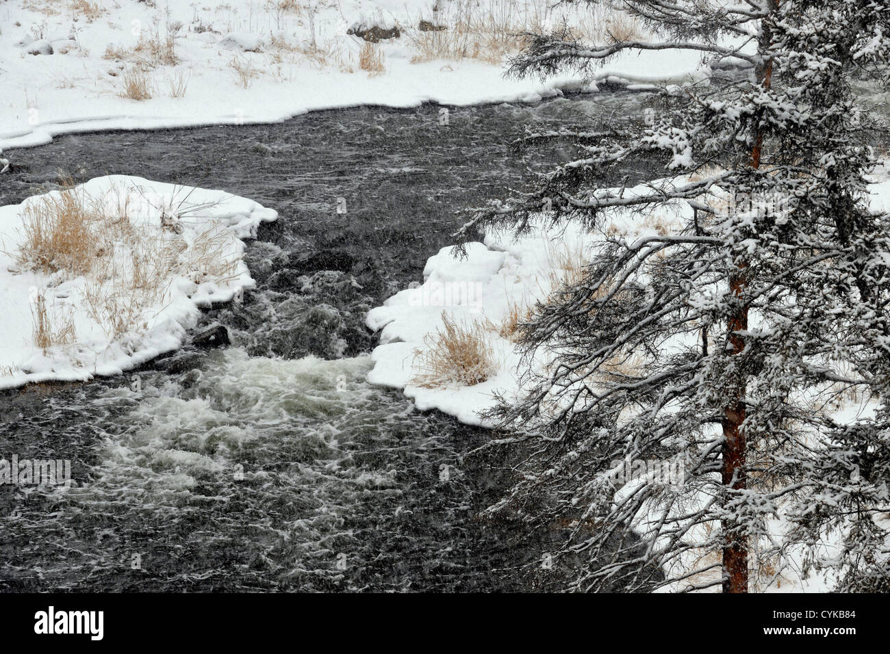 Junction Creek rapids in a snow storm, Greater Sudbury, Ontario, Canada ...