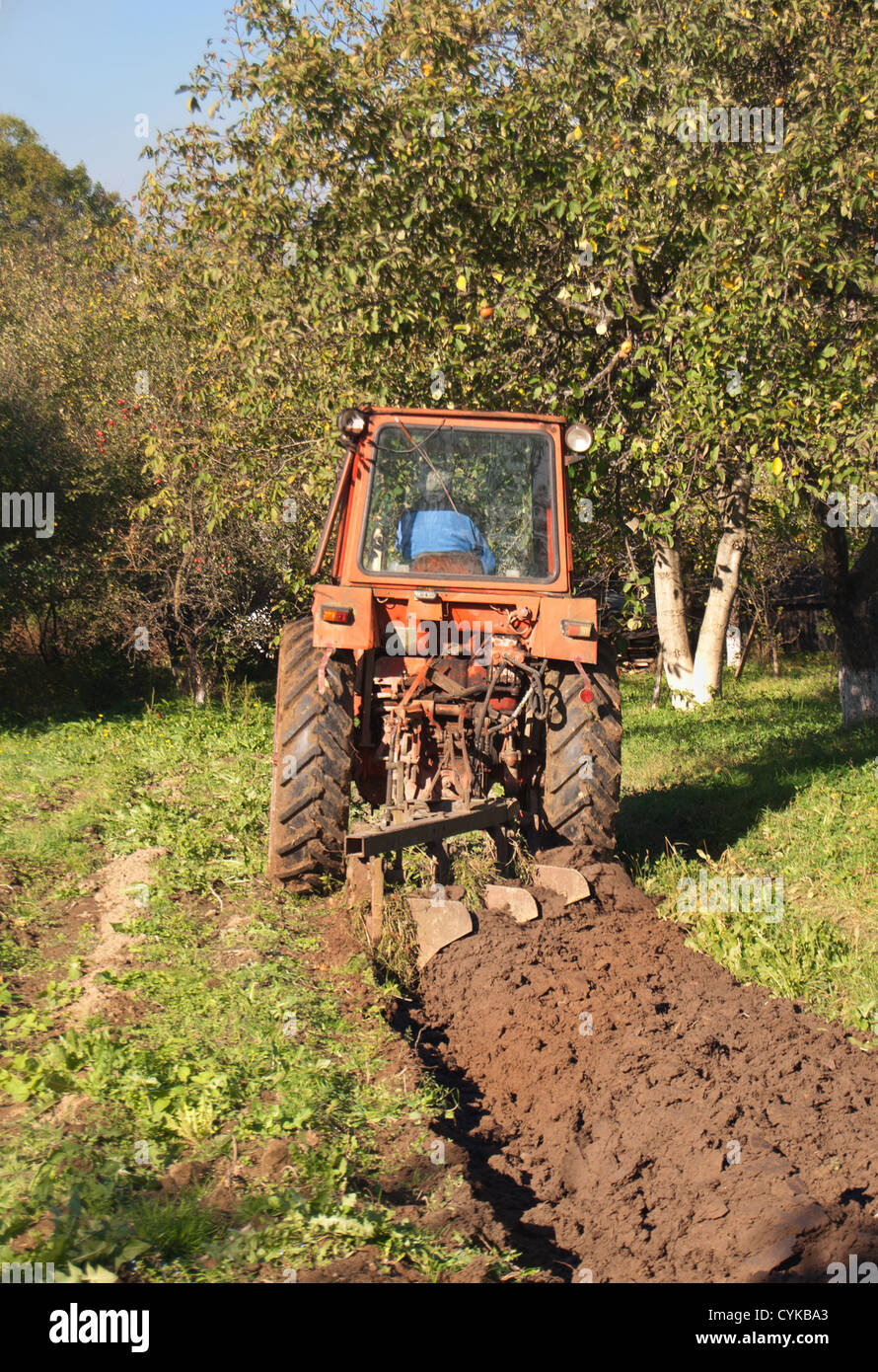 farmer plowing between trees in an orchard Stock Photo - Alamy
