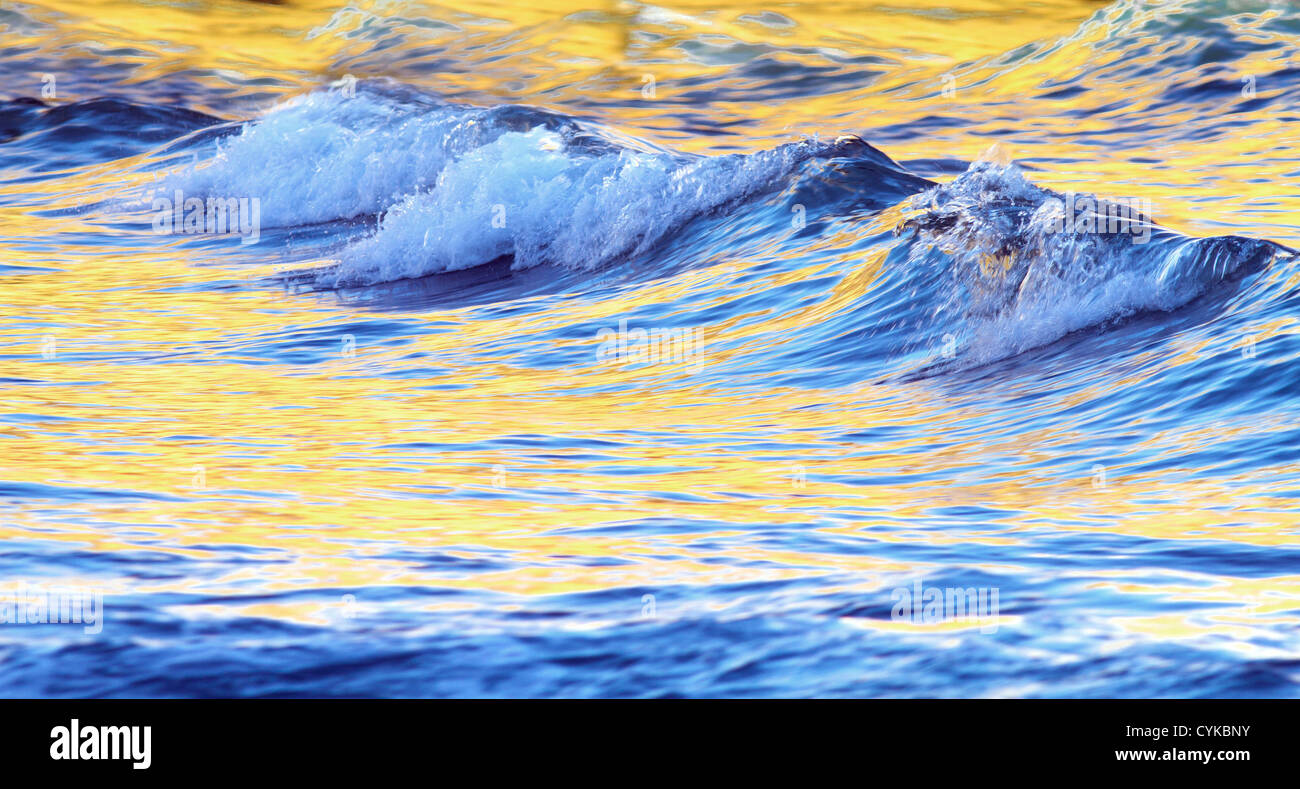 Isla Carmen, Sea of Cortez, Baja, Mexico. A wave breaks in reflected ...