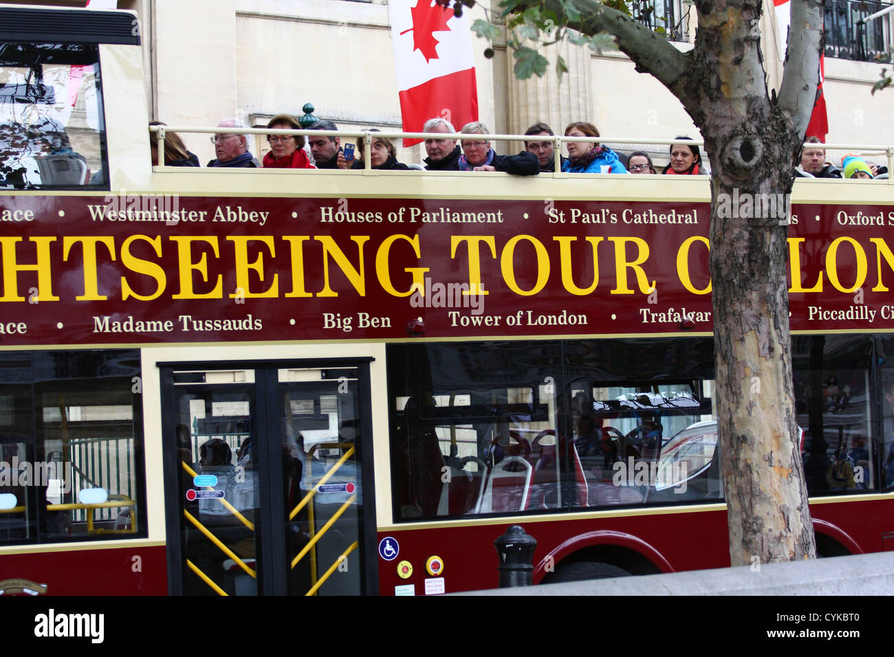 A London tour bus partially hidden behind a tree Stock Photo - Alamy