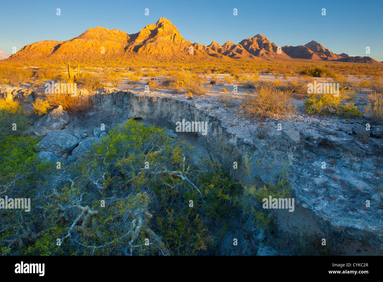 Mexico, Baja, Sea of Cortez. Warm morning light on the volcanic spine ...