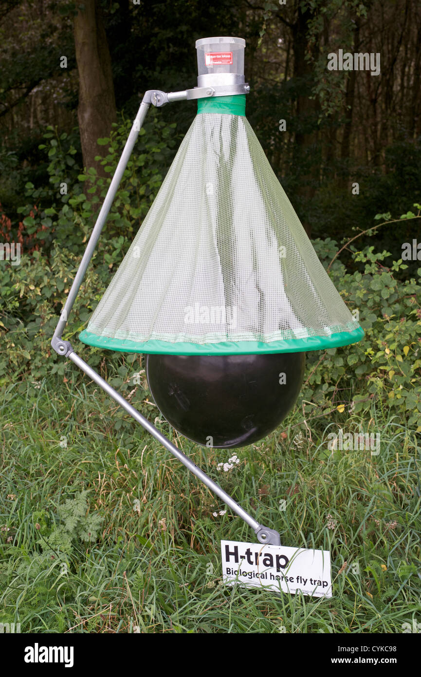 H trap biological horse fly trap hi-res stock photography and images ...