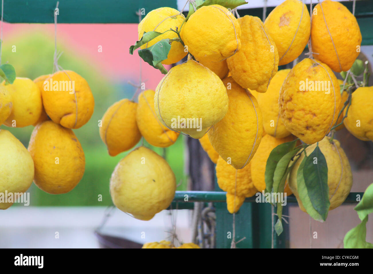 Giant lemons on a market stall in Sirmione on Lake Garda, Region of ...