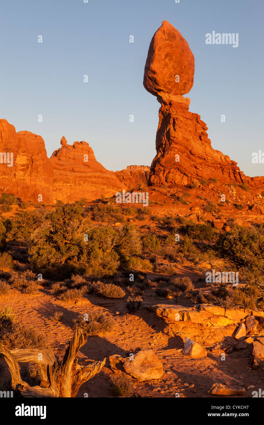 Balanced ecosystem hi-res stock photography and images - Alamy