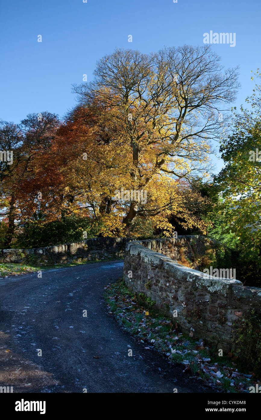 West Burton Bridge river crossing. West Burton Autumn, Upper ...