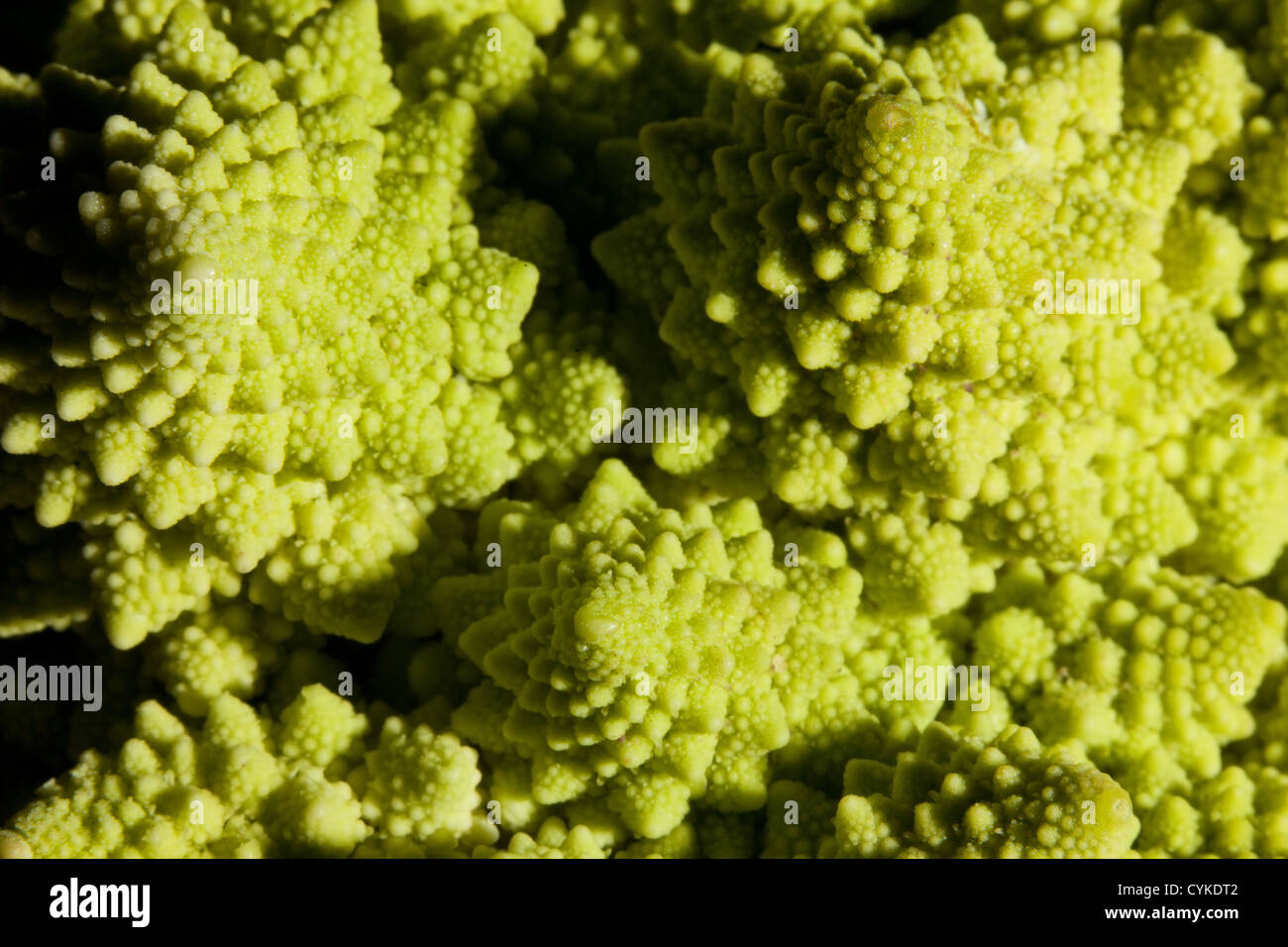 Fractal Cauliflower Romanesco Brassica heirloom vegetables fractals are ...