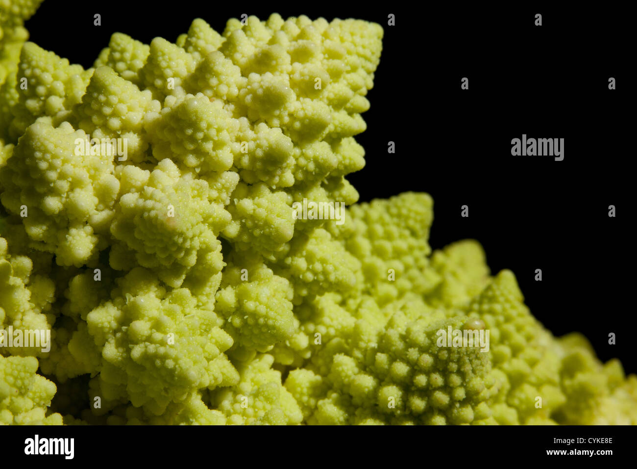 Fractals hi-res stock photography and images - Alamy