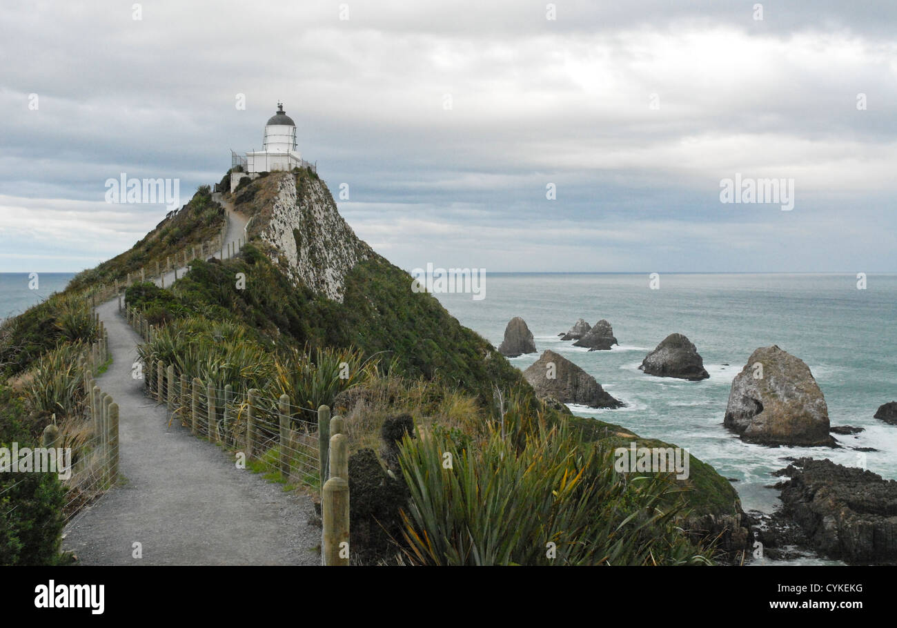 Path leading to Nugget Point Lighthouse. Otago region, South Island ...