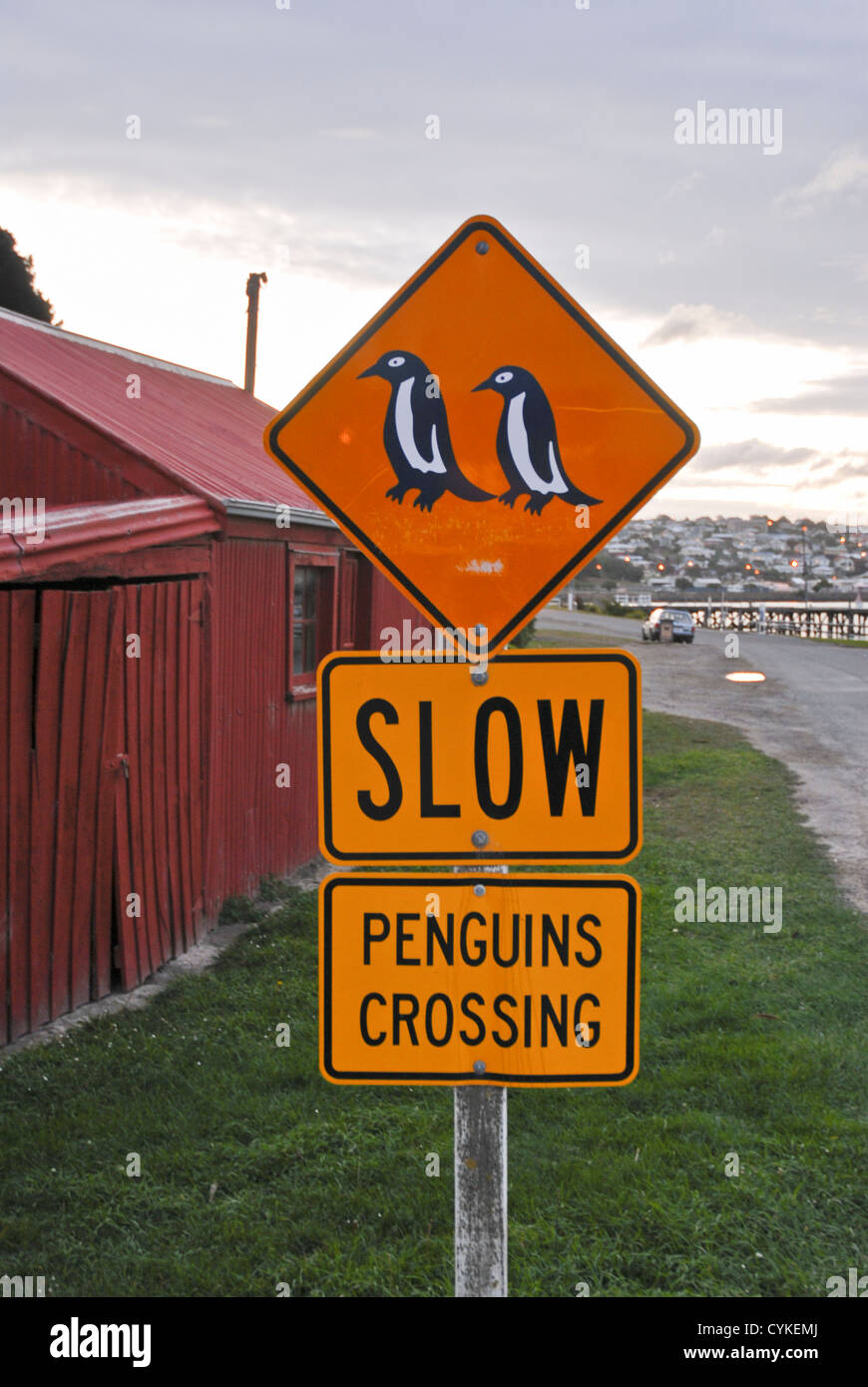 Penguin warning sign for Little Penguins in South Island, New Zealand ...