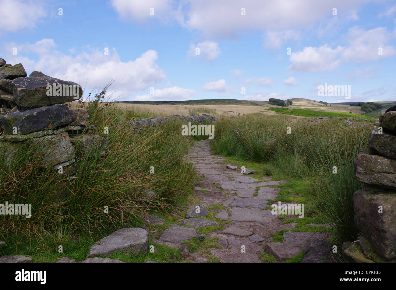 View through a stone gateway with cobbled path through tall grasses to ...