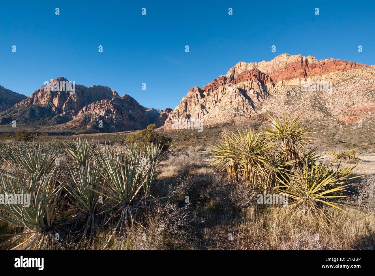 Red Rock Canyon National Conservation Area desert outside Las Vegas ...