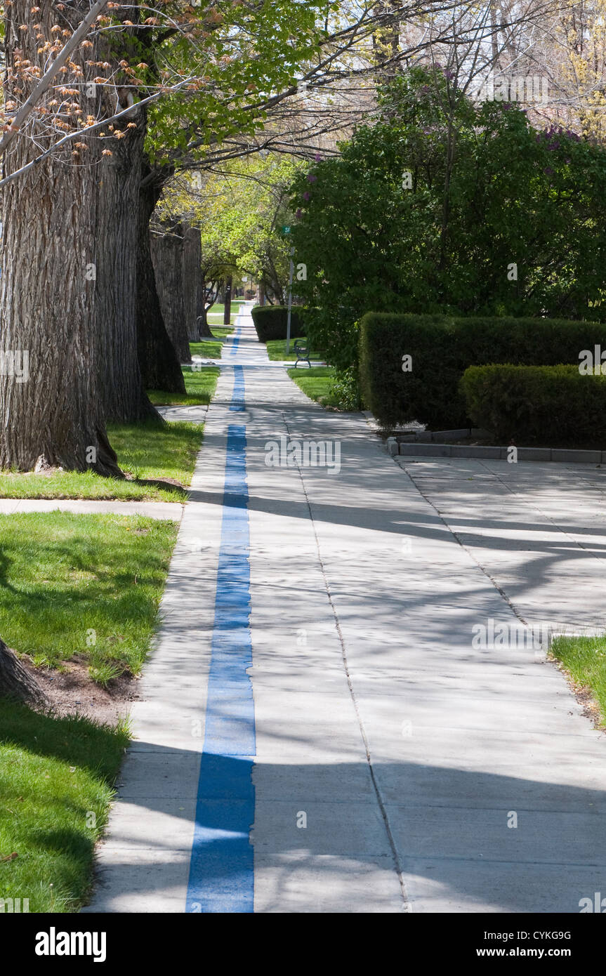 USA, Nevada. Historic Kit Carson walking tour trail in downtown Carson ...