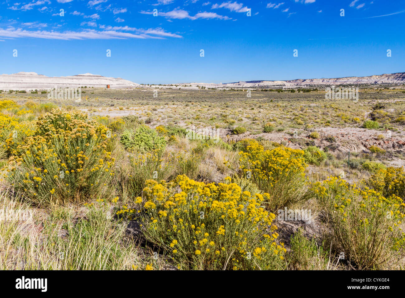High desert landscape along US Highway 550 in northwestern New Mexico ...