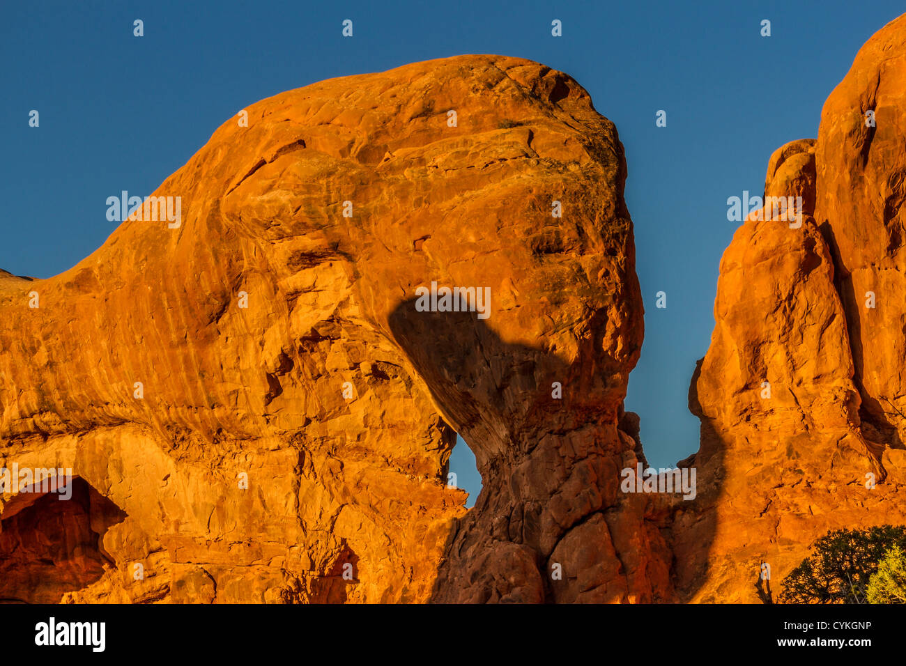 Elephants rock hi-res stock photography and images - Alamy