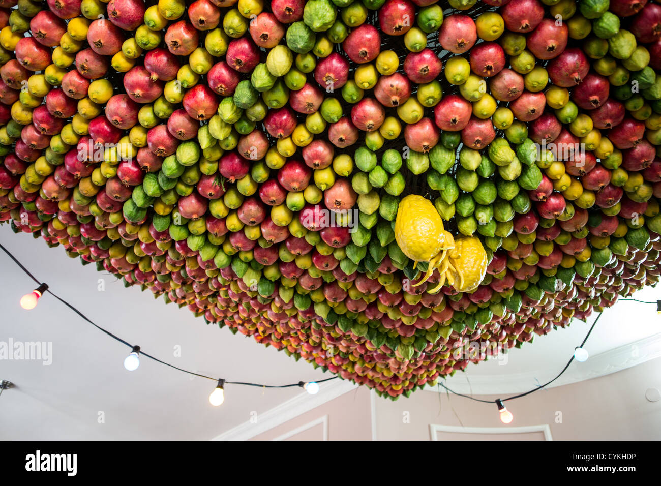 Samaritan indoor Sukkah is decorated with fresh fruit on the ceiling ...