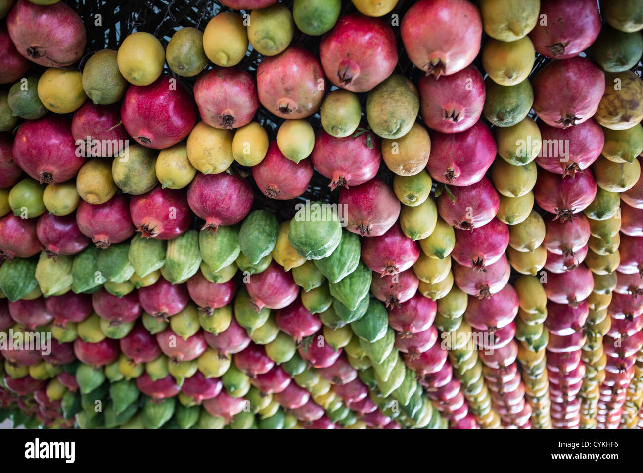 Samaritan indoor Sukkah is decorated with fresh fruit on the ceiling ...
