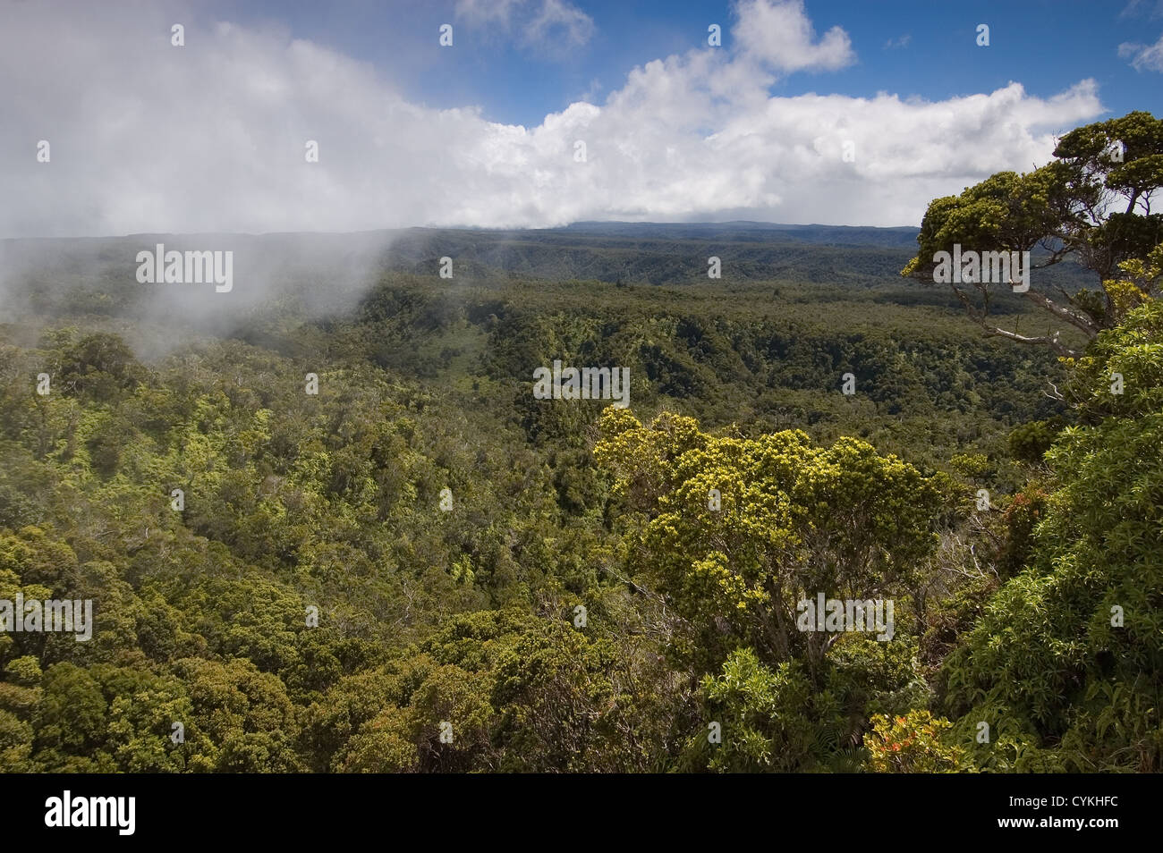 Trackless wilderness hi-res stock photography and images - Alamy