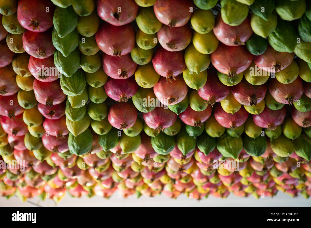 Samaritan indoor Sukkah is decorated with fresh fruit on the ceiling ...