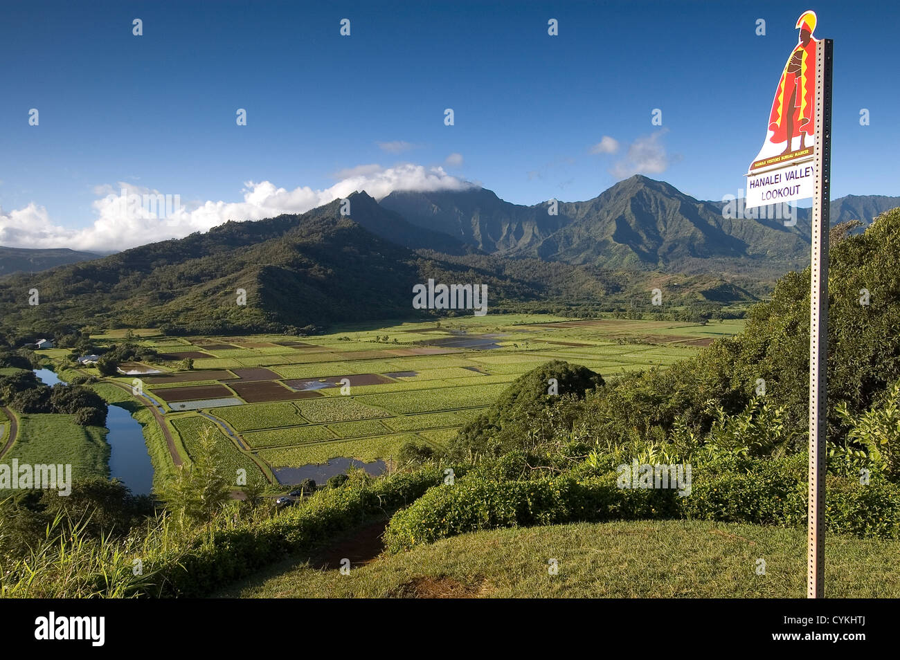 Hanalei taro fields hi-res stock photography and images - Alamy