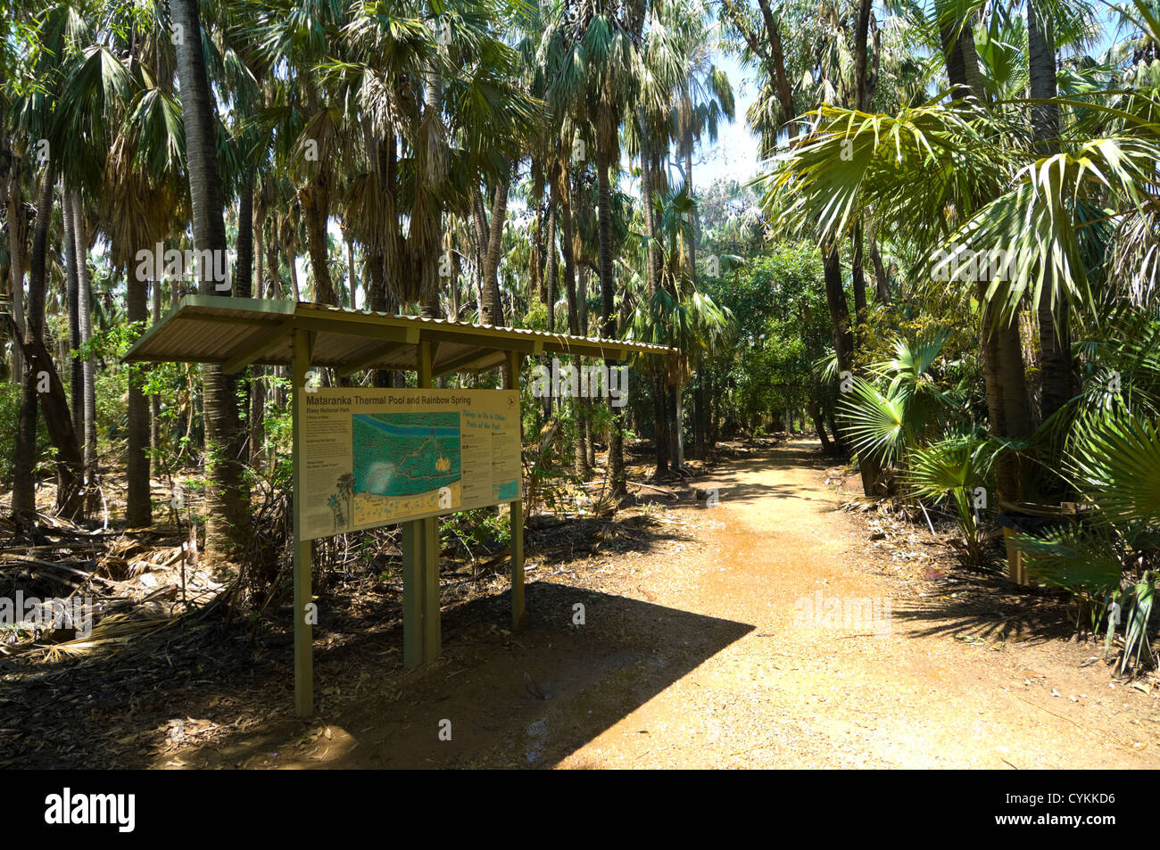 Path to Mataranka Thermal Pool, Northern Territory, Australia Stock ...