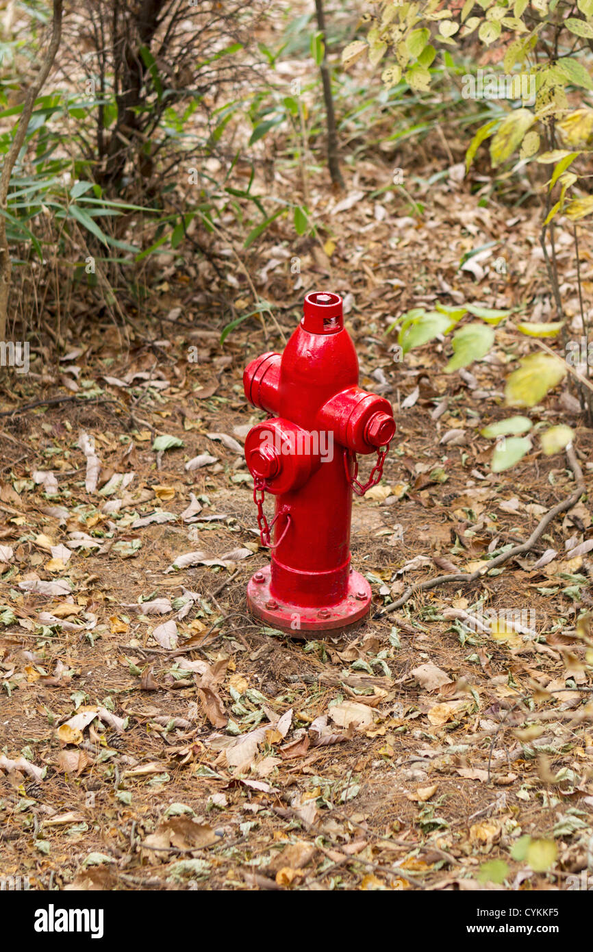 Fire Hydrant in the forest to protect against forest fires in National ...
