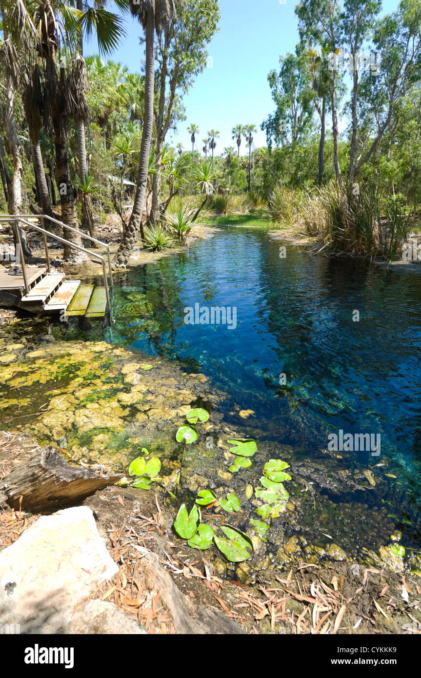 Bitter springs hi-res stock photography and images - Alamy