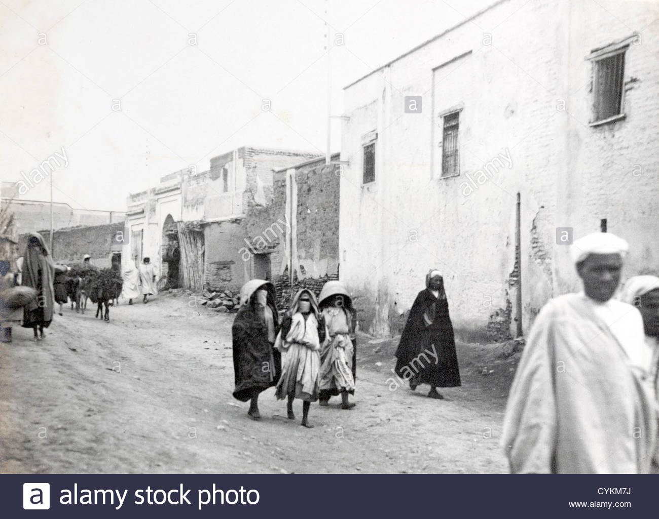 North Of South An African Journey Classic 20Thcentury Penguin New Release