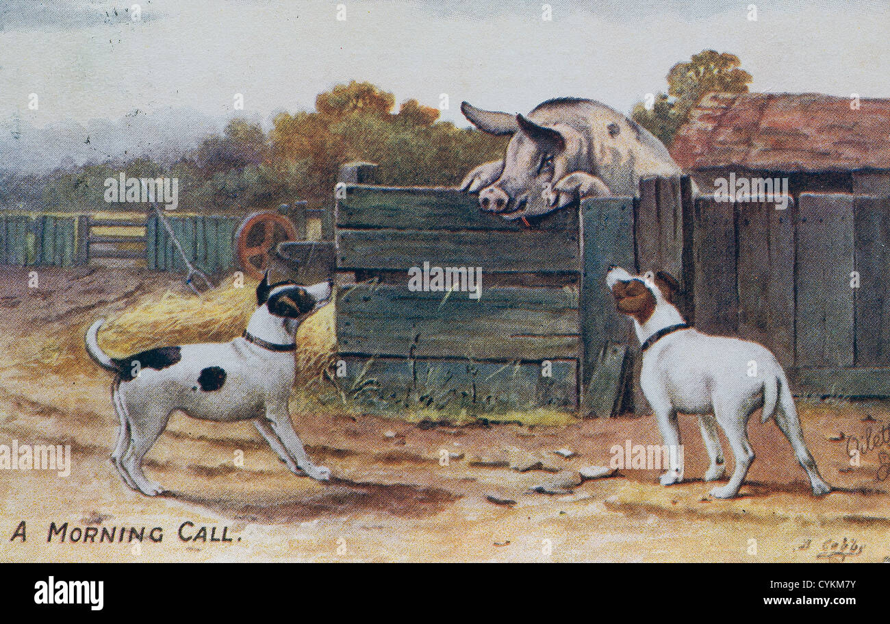 two dogs in an old post card Stock Photo - Alamy