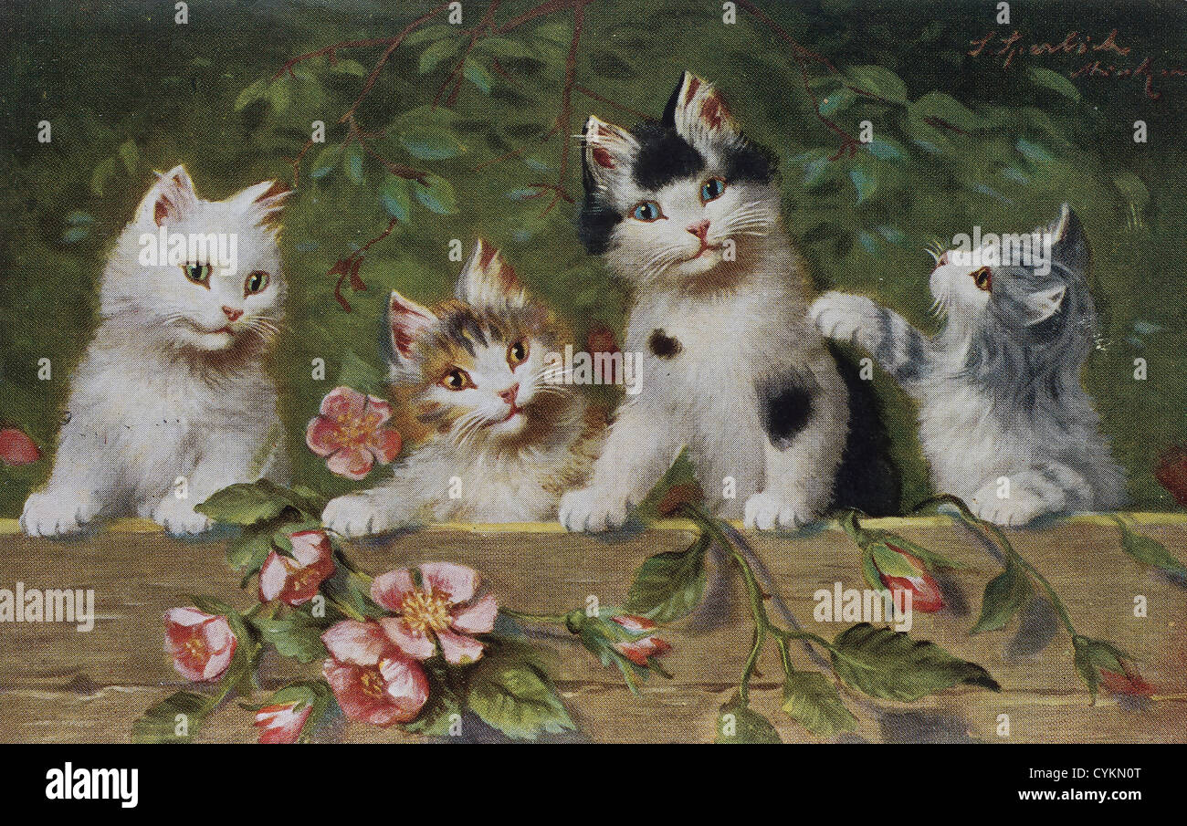 four cats drawing in an old post card Stock Photo - Alamy