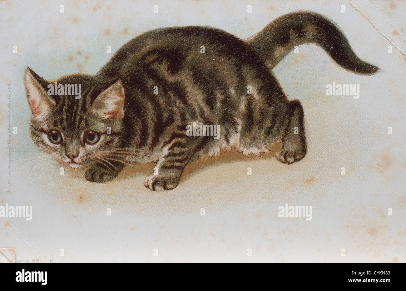 Vintage cat drawing hi-res stock photography and images - Alamy