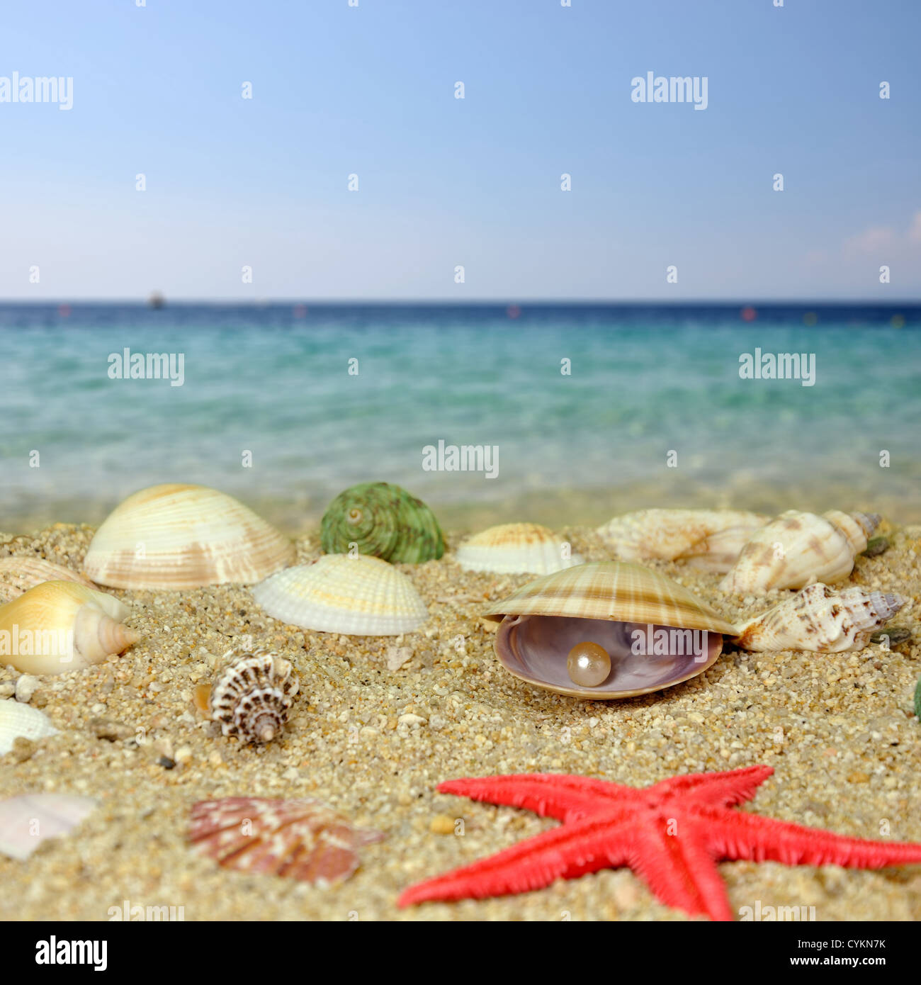 Summer scene #14 - Sea shells and pearl Stock Photo - Alamy