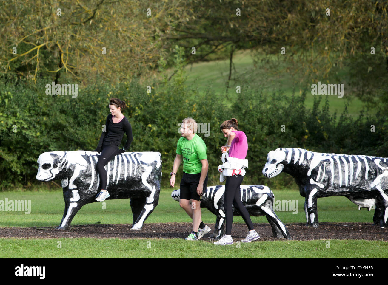 Milton keynes cow hi-res stock photography and images - Alamy