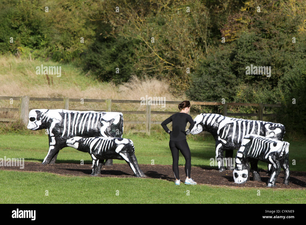 Milton keynes cow hi-res stock photography and images - Alamy