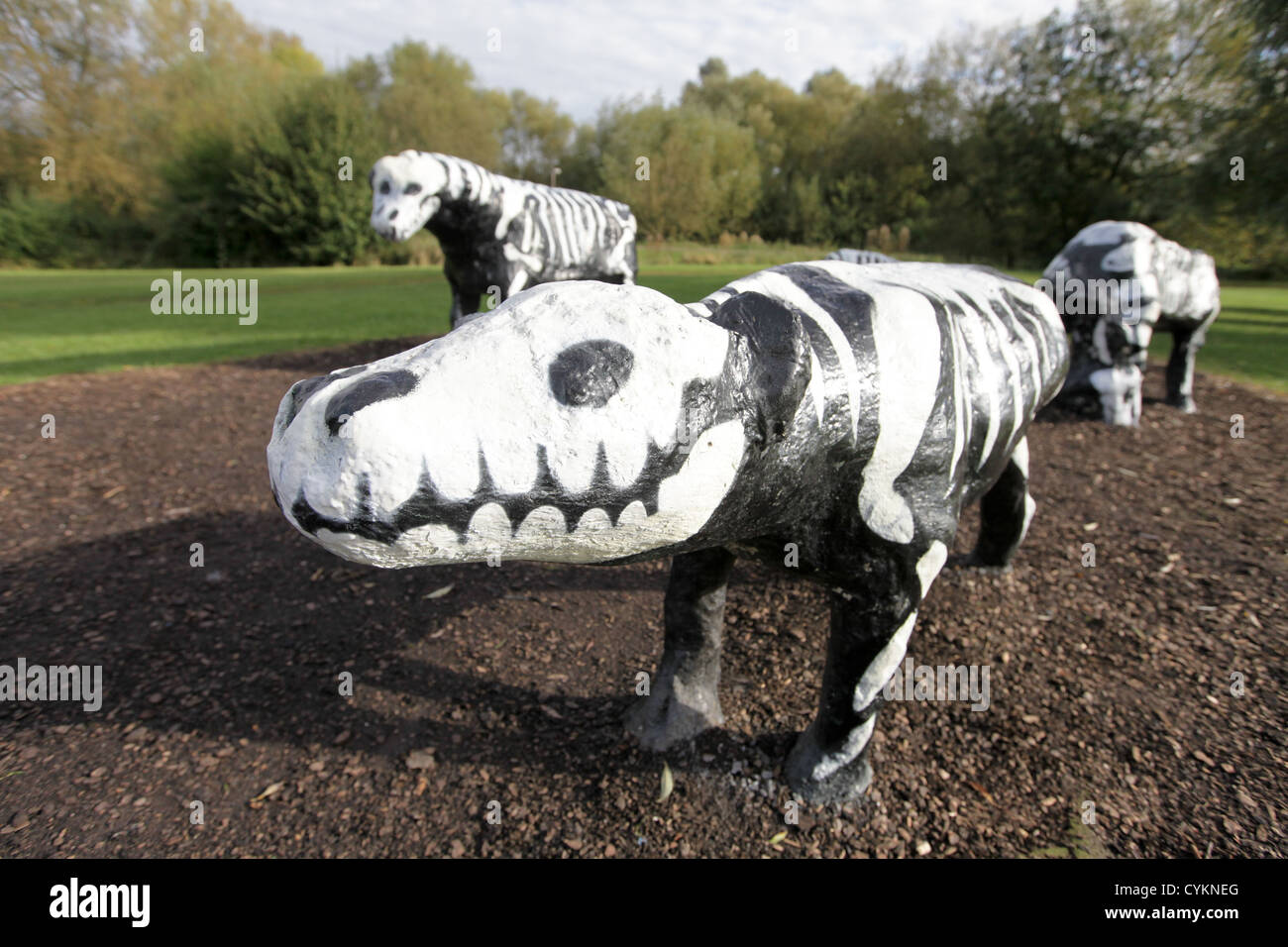 MILTON KEYNES COWS THAT HAVE BEEN TURNED INTO SKELETONS Stock Photo - Alamy