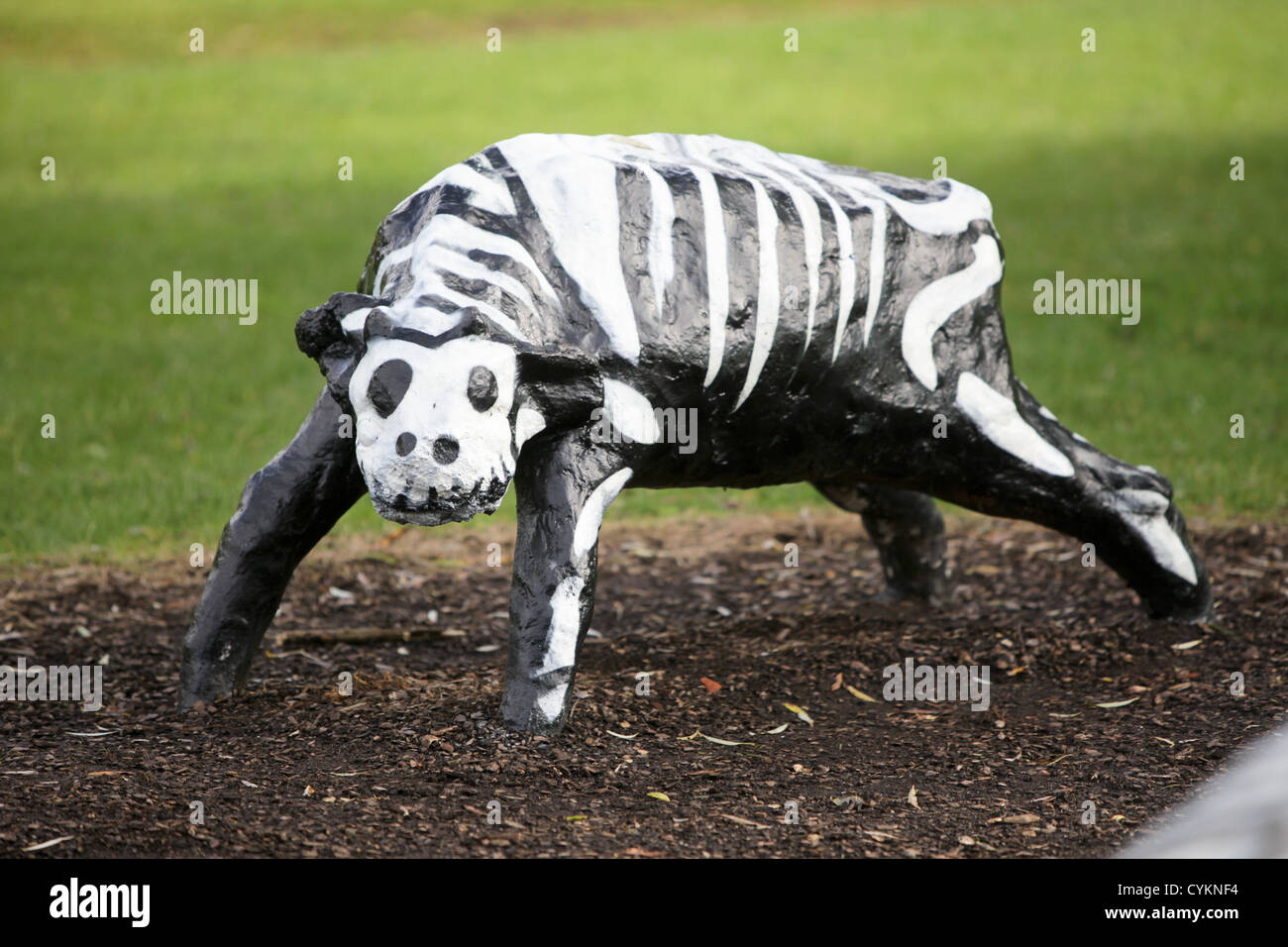 MILTON KEYNES COWS THAT HAVE BEEN TURNED INTO SKELETONS Stock Photo - Alamy