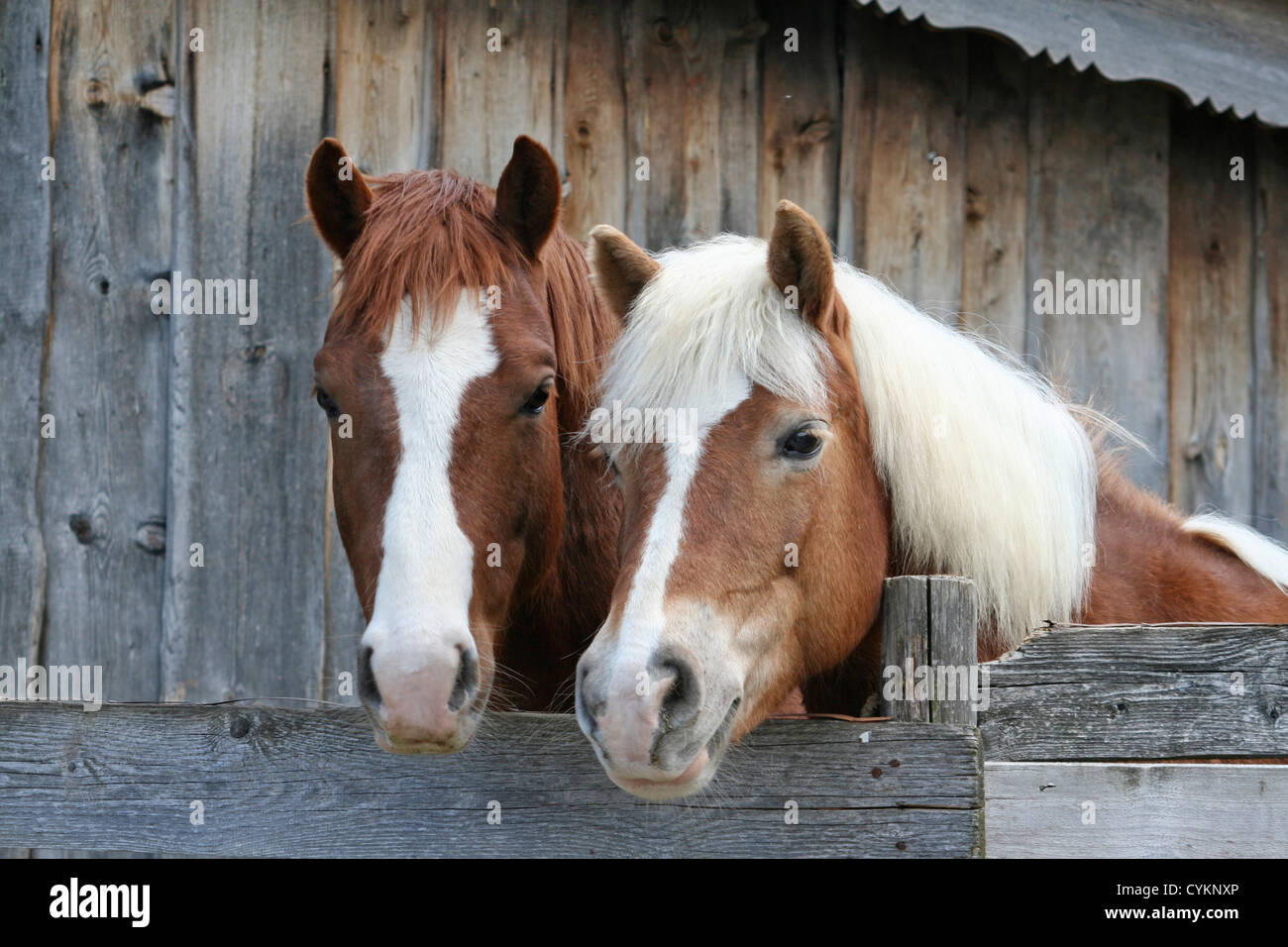 Double stable fence hi-res stock photography and images - Alamy