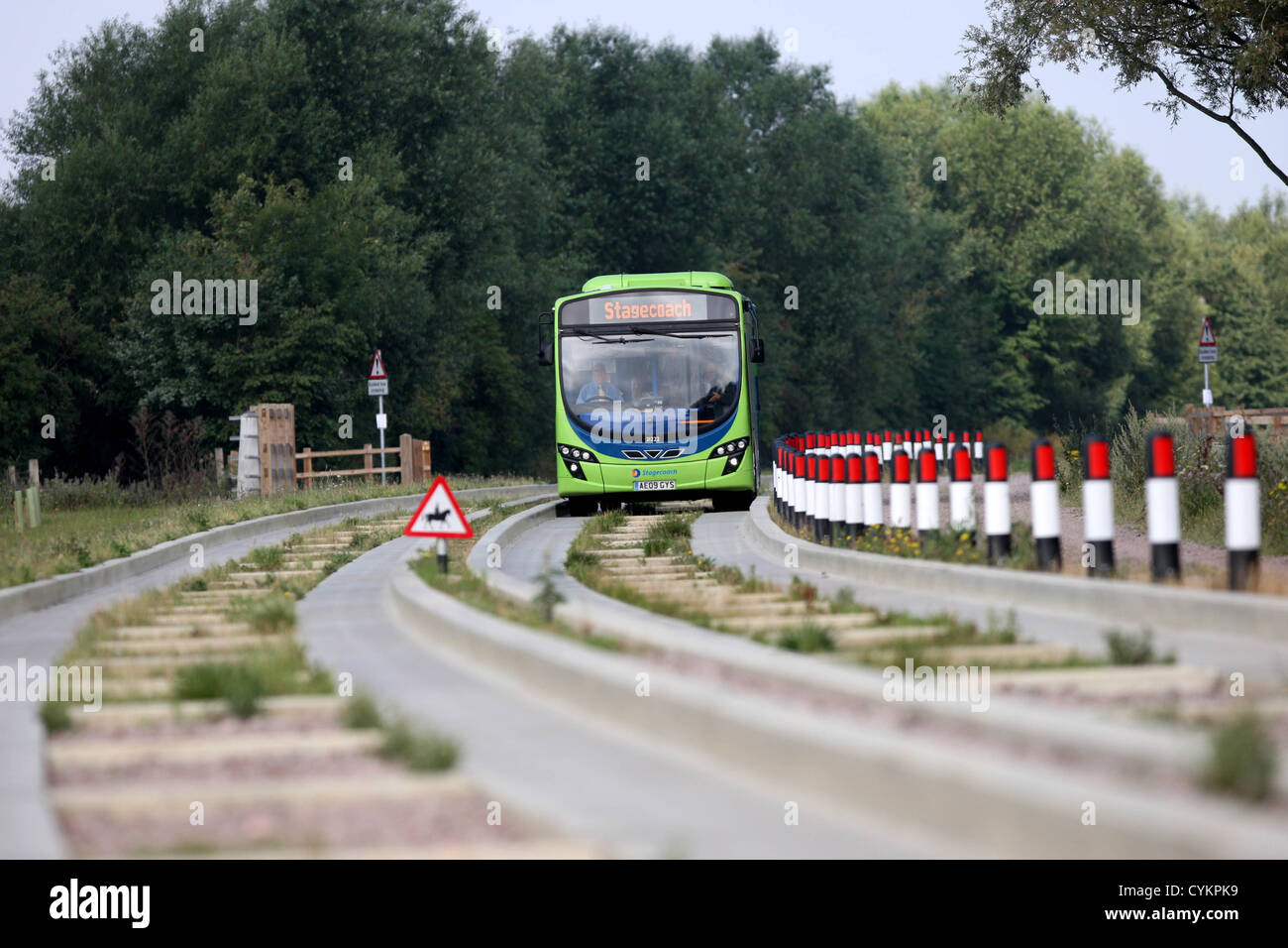 GUIDED BUSWAY IN CAMBRIDGE,ENGLAND Stock Photo - Alamy