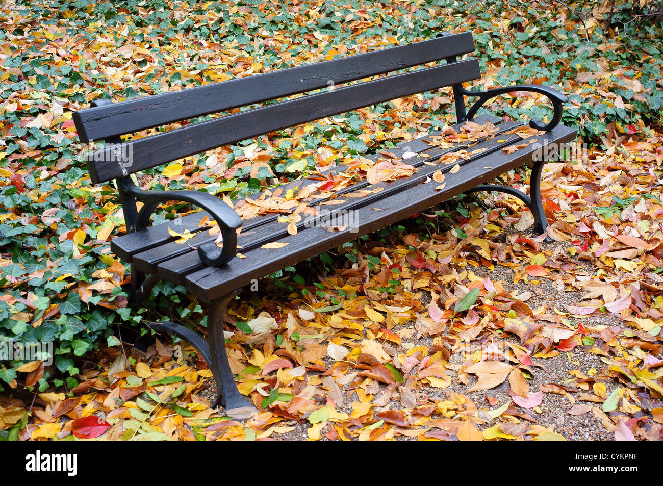 Autumn park bench with fallen leaves on it and around Stock Photo - Alamy
