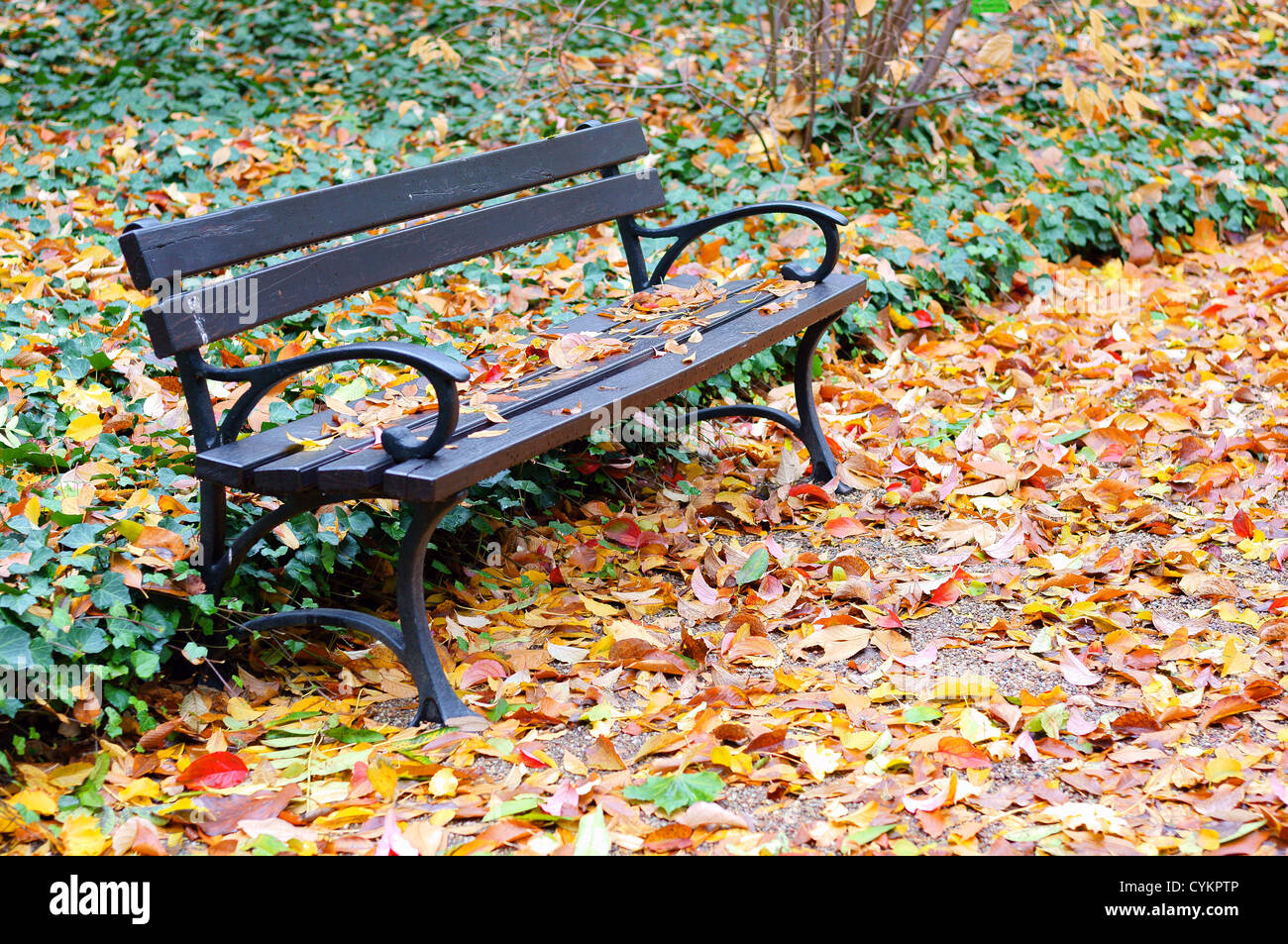 Autumn park bench with fallen leaves on it and around Stock Photo - Alamy