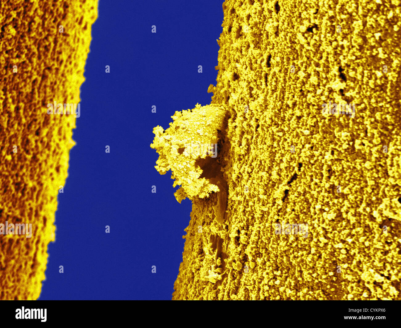 Sem horizontal hi-res stock photography and images - Alamy