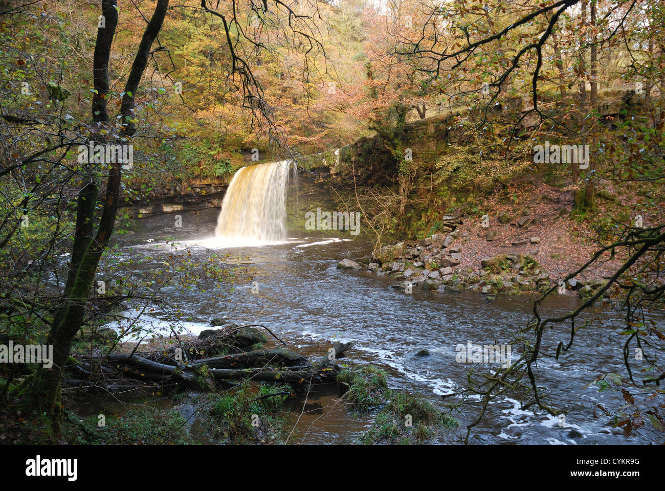 Sgwd Gwladys waterfall, River Pyrddin, Brecon Beacons National Park ...