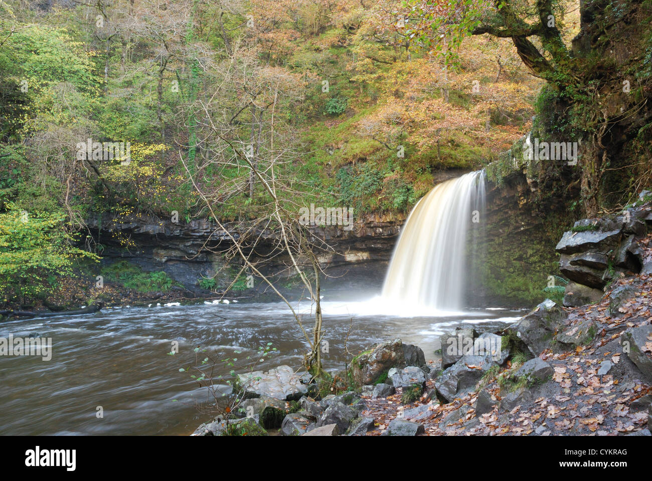 Sgwd Gwladys waterfall, River Pyrddin, Brecon Beacons National Park ...